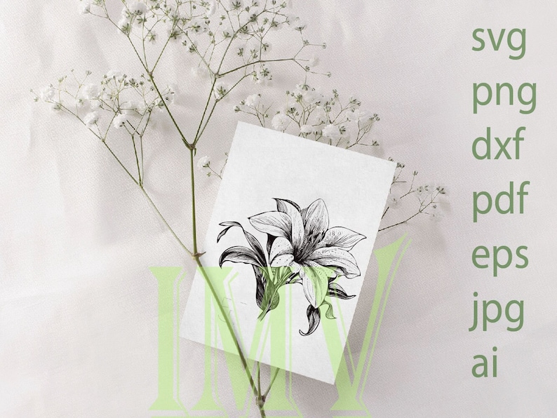 Lily Flower Svg Lily Svg Bundle Lily Set Svg Hand Drawn - Etsy
