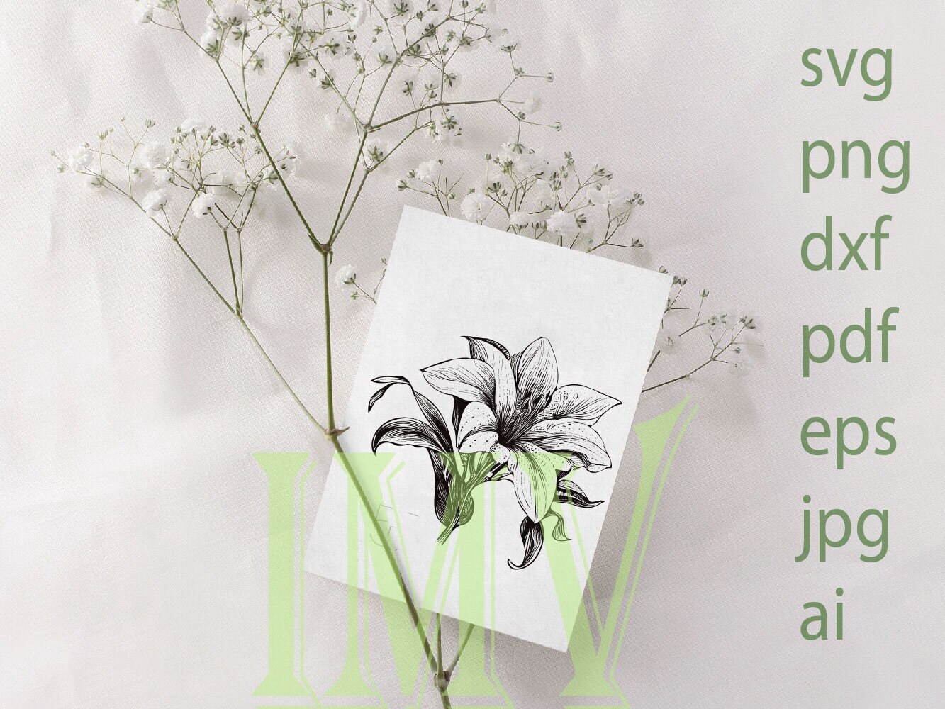 Lily Flower Svg Lily Svg Bundle Lily Set Svg Hand Drawn - Etsy