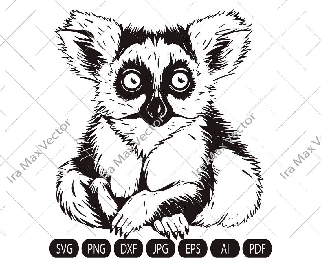 Lemur SVG Lemur Clipart Hand Drawn Lemur Vector - Etsy
