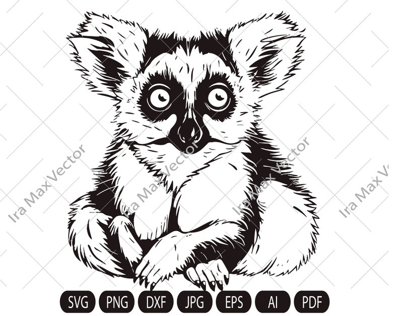 Lemur SVG Lemur Clipart Hand Drawn Lemur Vector - Etsy