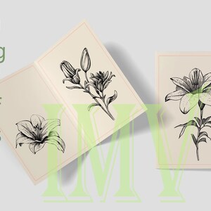 Lily Flower Svg, Lily Svg Bundle, Lily Set Svg, Hand Drawn Lily Svg ...
