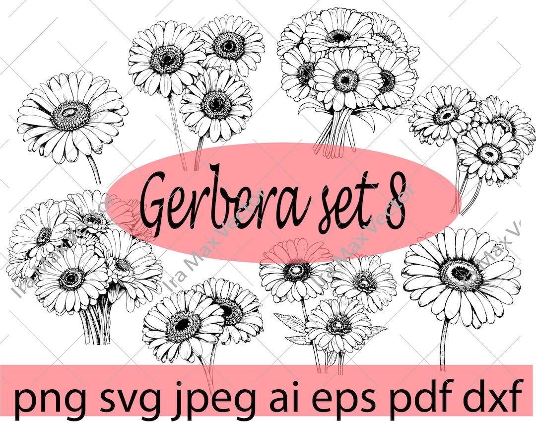 Gerbera Svg, Daisy Svg, Cute Wildflower, Gerbera Set, Botanical Floral ...