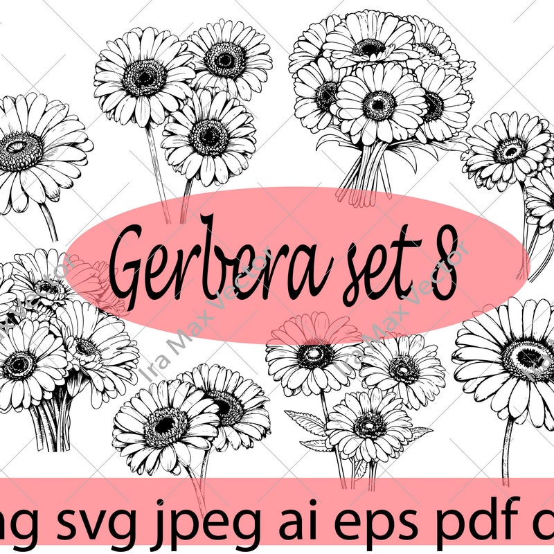 Daisy Svg - Etsy