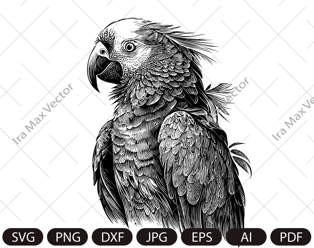 Parrot Svg, Exotic Bird Svg, Macaw Svg, Silhouette Dxf, Bird Clipart ...