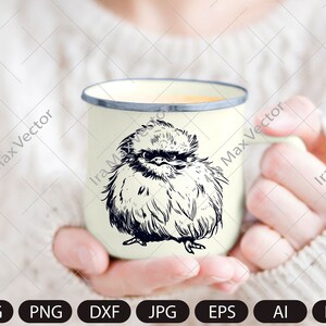 Silkie Hen,angry Birds, Silk Rooster,silkie Bird ,FUNNY SILKIE HEN ...