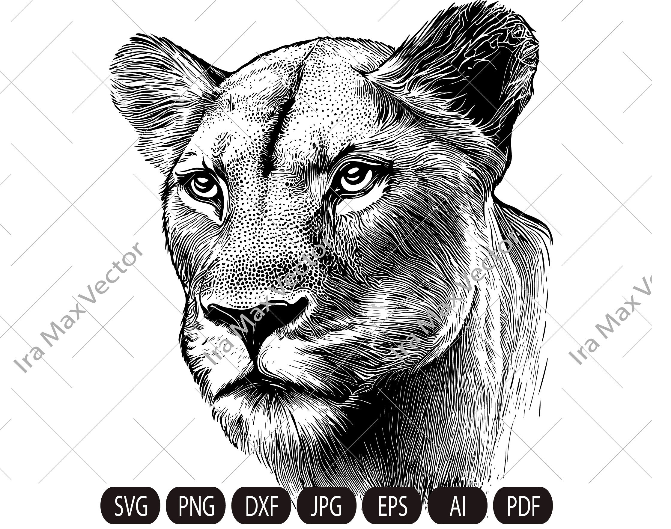 Cabeza de leona SVG, Cara de leona svg, Cara de león Svg, Gato salvaje Svg, Silueta de león ...