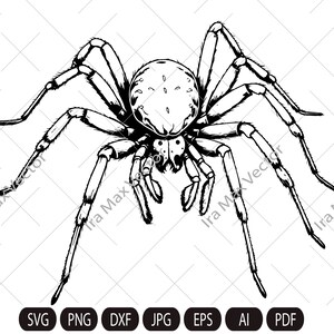 Spider SVG, Spider Design Svg, Spider Details, Spider Dxf, Spider Png ...