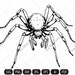 Spider SVG, Spider Design Svg, Spider Detailed, Spider Dxf, Spider Png ...