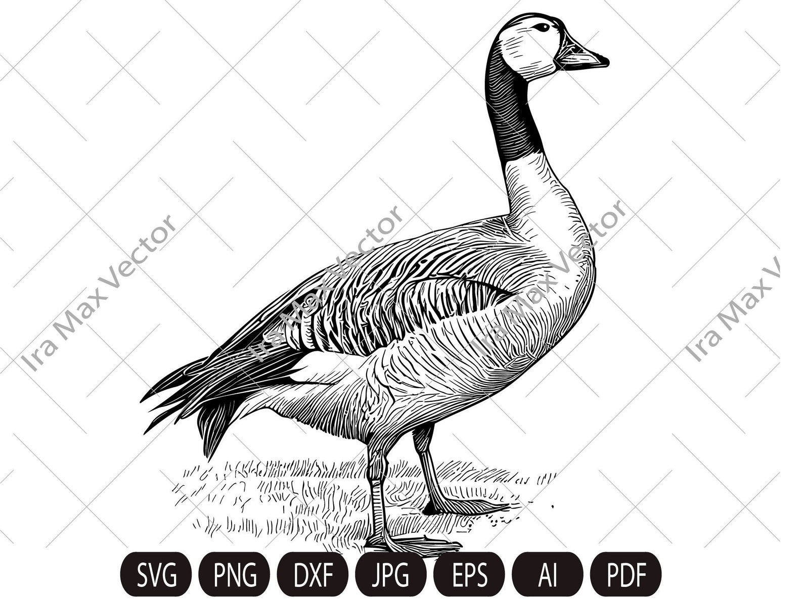 Goose SVG, Goose Standing,grey Goose SVG, Goose Clipart, Goose Detailed ...