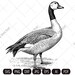 Goose SVG, Goose Standing,grey Goose SVG, Goose Clipart, Goose Detailed ...