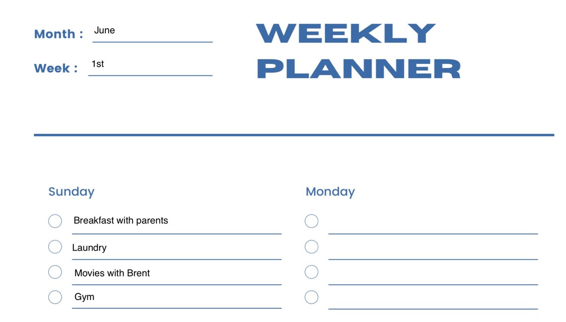 Fillable Digital Weekly Planner - Etsy