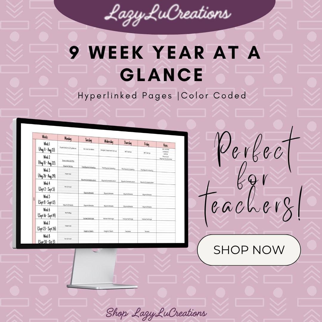 9 Week Year at a Glance - Google Sheets - Etsy