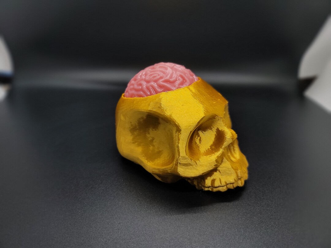 Skull With Brain Stress Ball Stand, Desktop Toy, Fidget Toy, Halloween ...