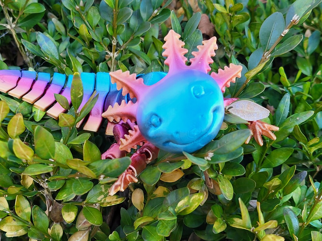 Flexible Axolotl 3D Printed Articulated Desktop Pet Excellent Fidget ...