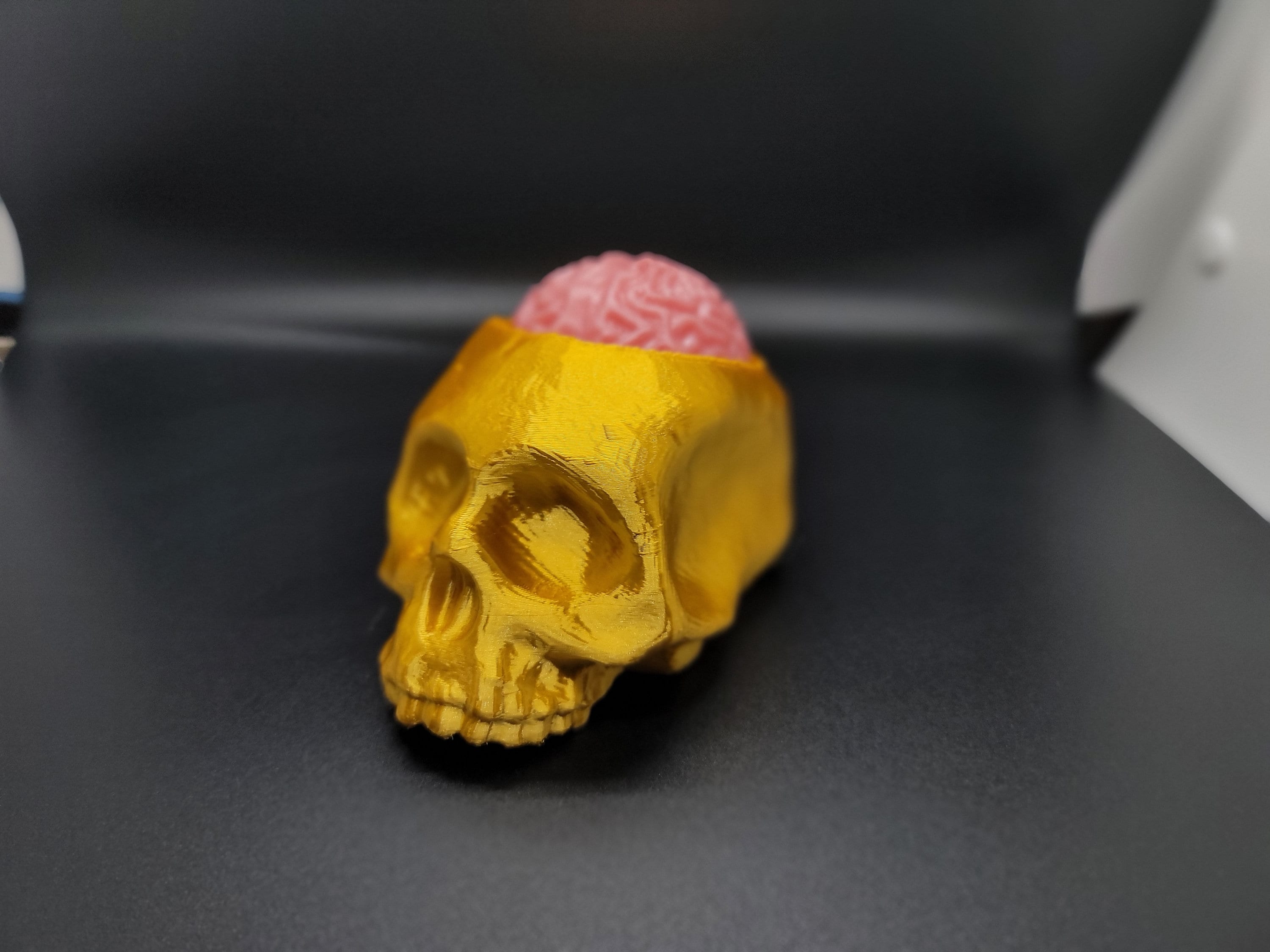 Skull With Brain Stress Ball Stand Desktop Toy Fidget Toy - Etsy