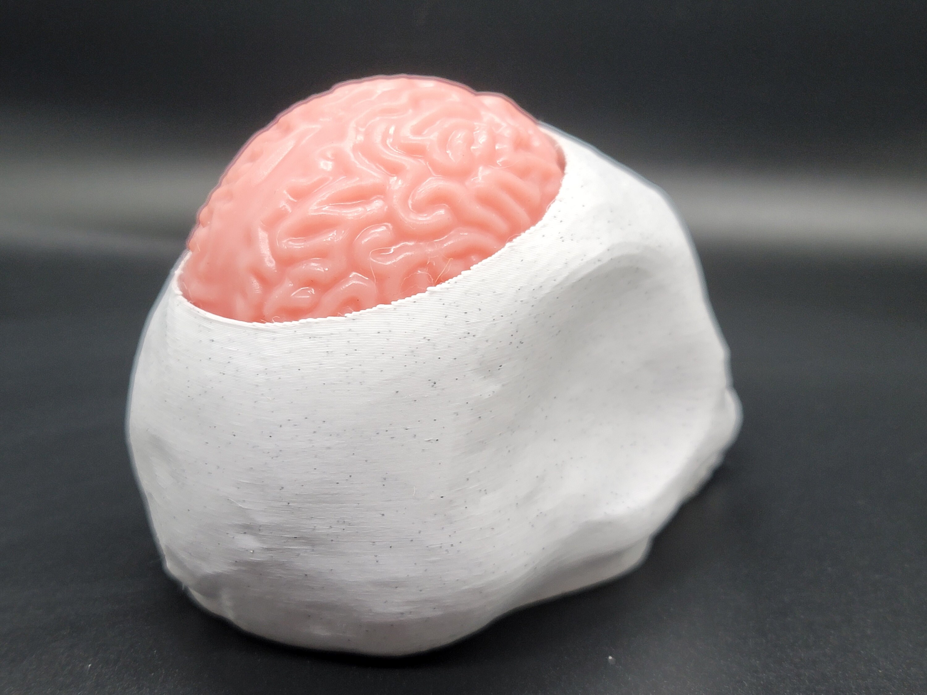 Skull With Brain Stress Ball Stand Desktop Toy Fidget Toy - Etsy