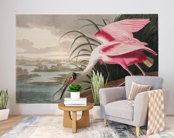 Roseate Spoonbill Wallpaper - Etsy