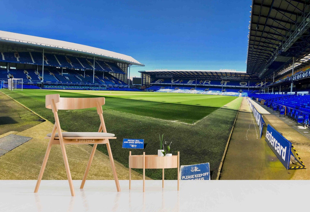 Goodison Park Stadium 3D Wallpaper Peel and Stick Removable - Etsy