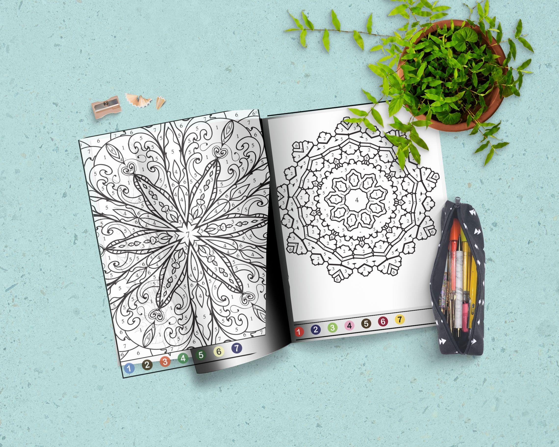 Adult Color by Number Pages: 50 Printable Coloring Sheets (digital ...