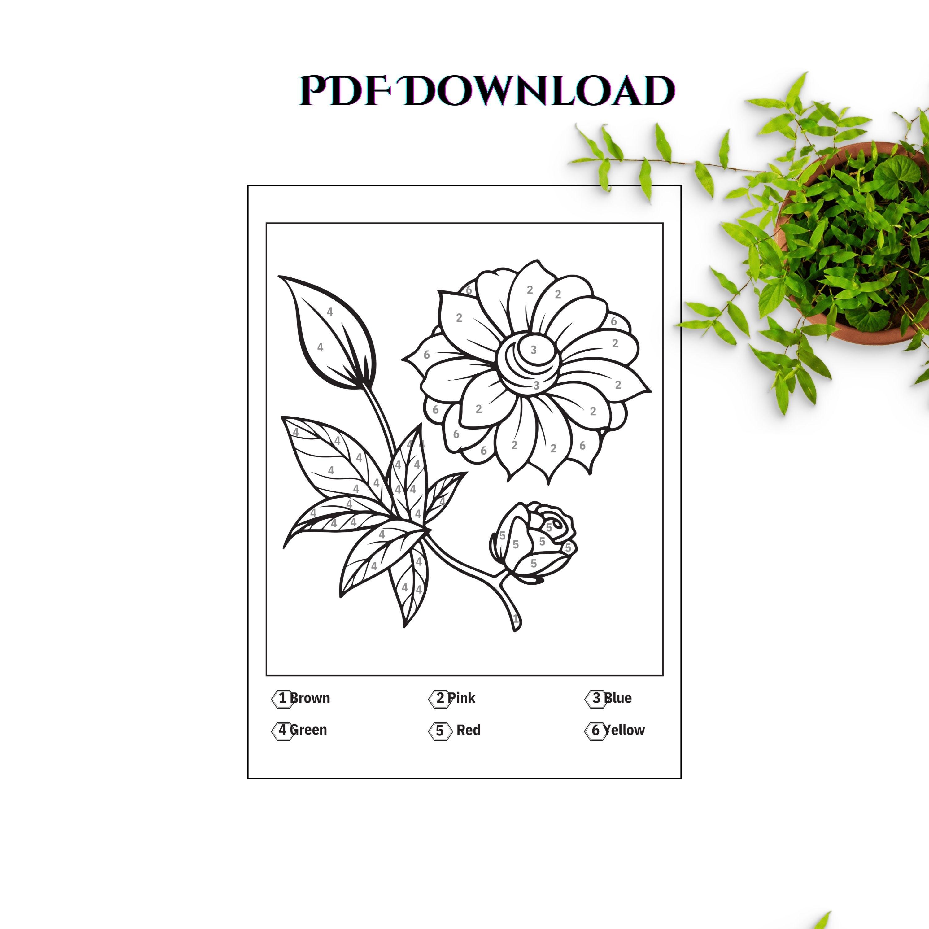 Flower Color by Number Pages: 50 Printable Adult Coloring Sheets (PDF ...