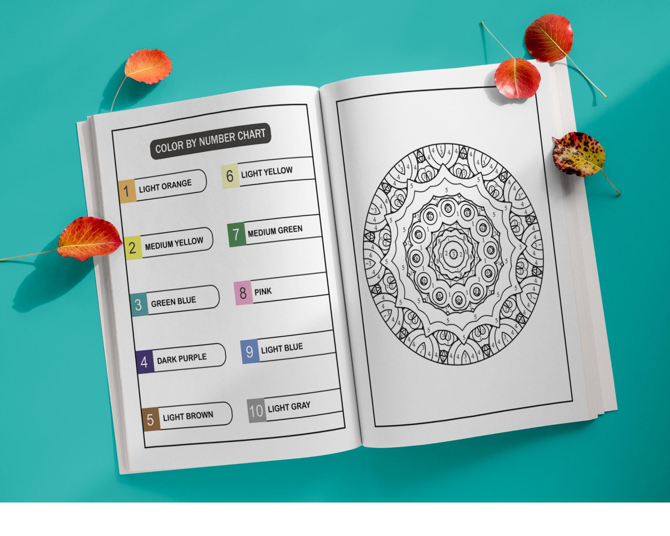 Relaxing Color by Number Book: Adult Coloring Pages (PDF Download) - Etsy