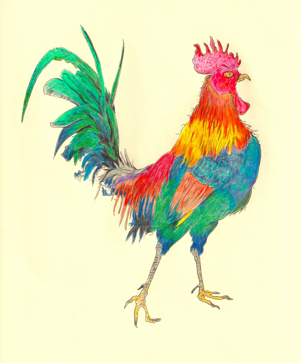 Barnyard Pimp! Giclee Print of Pen, Ink and Colored Pencil Work ...