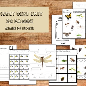 Insect Mini Unit for Prek-first - Etsy