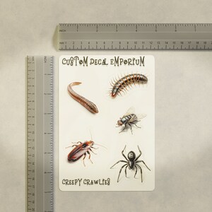 Creepy Crawlies Sticker Sheet / Scary Insect Decals / Great Halloween ...