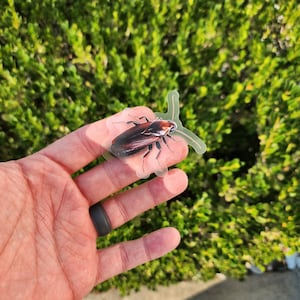 Creepy Crawlies Sticker Sheet / Scary Insect Decals / Great Halloween ...