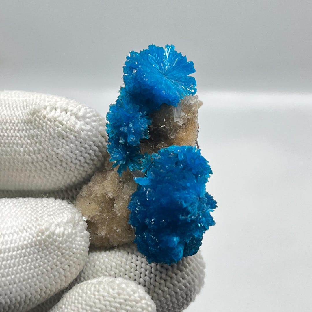 Very Rare Deep Blue Natural Cavansite Blossom/cavensite Crystal on ...