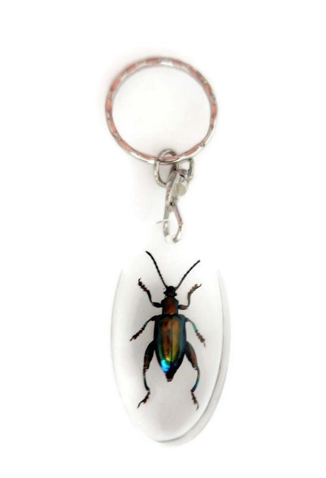 Frog Beetle Keychain: Metallic Green Insect Resin Keyring - Etsy