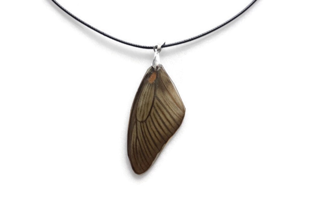 Necklace With Real Butterfly Wing Pendant, Battus Laodamas the Green ...