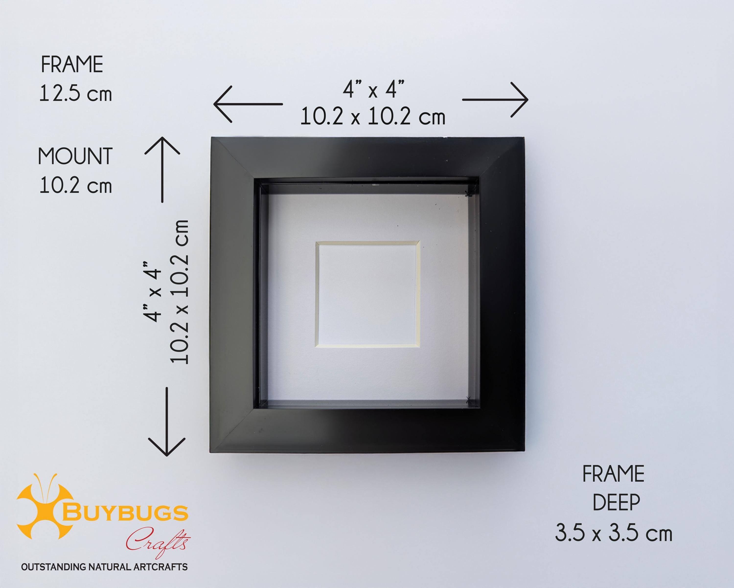 Black 4x4 Shadow Box Frame: Standing or Hanging Display - Etsy