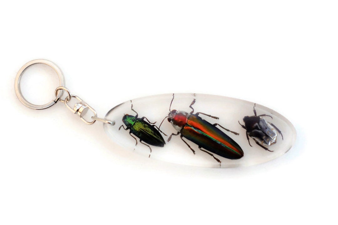 Jewel Beetles Keyring, Bugs in Resin Keychain - Etsy