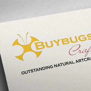 Morpho Marcus Adonis, the Adonis Morpho, the Adonis Butterfly, Big Blue ...