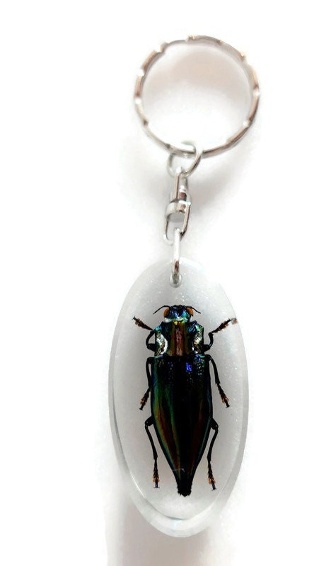 Real Beetle Keychain, Resin Keyring, Cyphogastra Javanica - Etsy