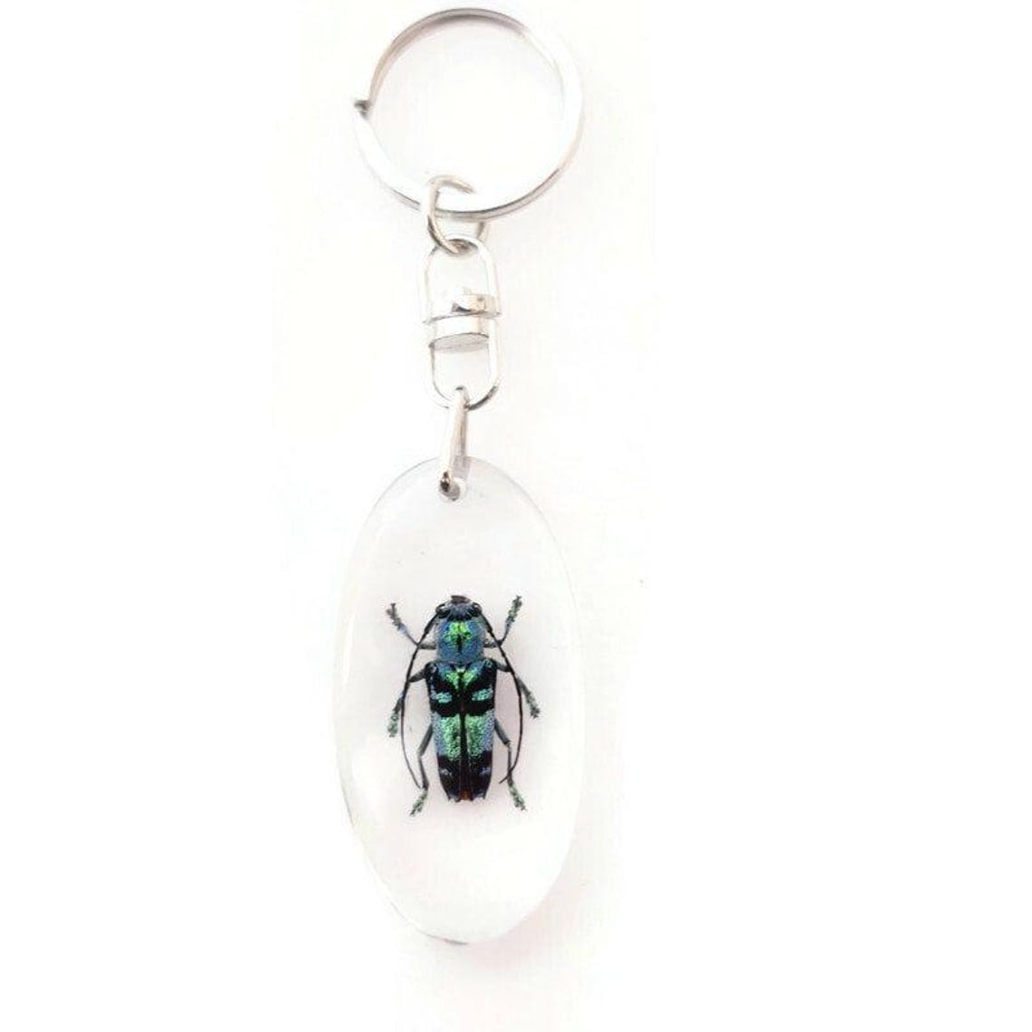Cerambycidae Ssp, Medium Resin Keyring, Longhorn Beetle, Teal Long ...