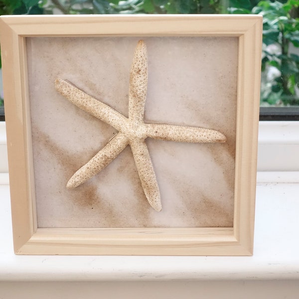 Finger Starfish - Etsy