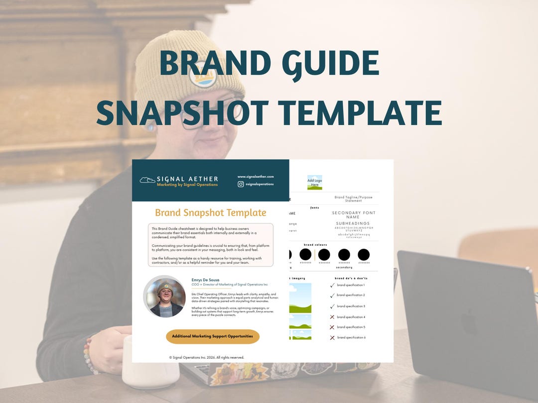 Brand Snapshot Template | One-page Canva Brand Kit | Logo, Colours ...