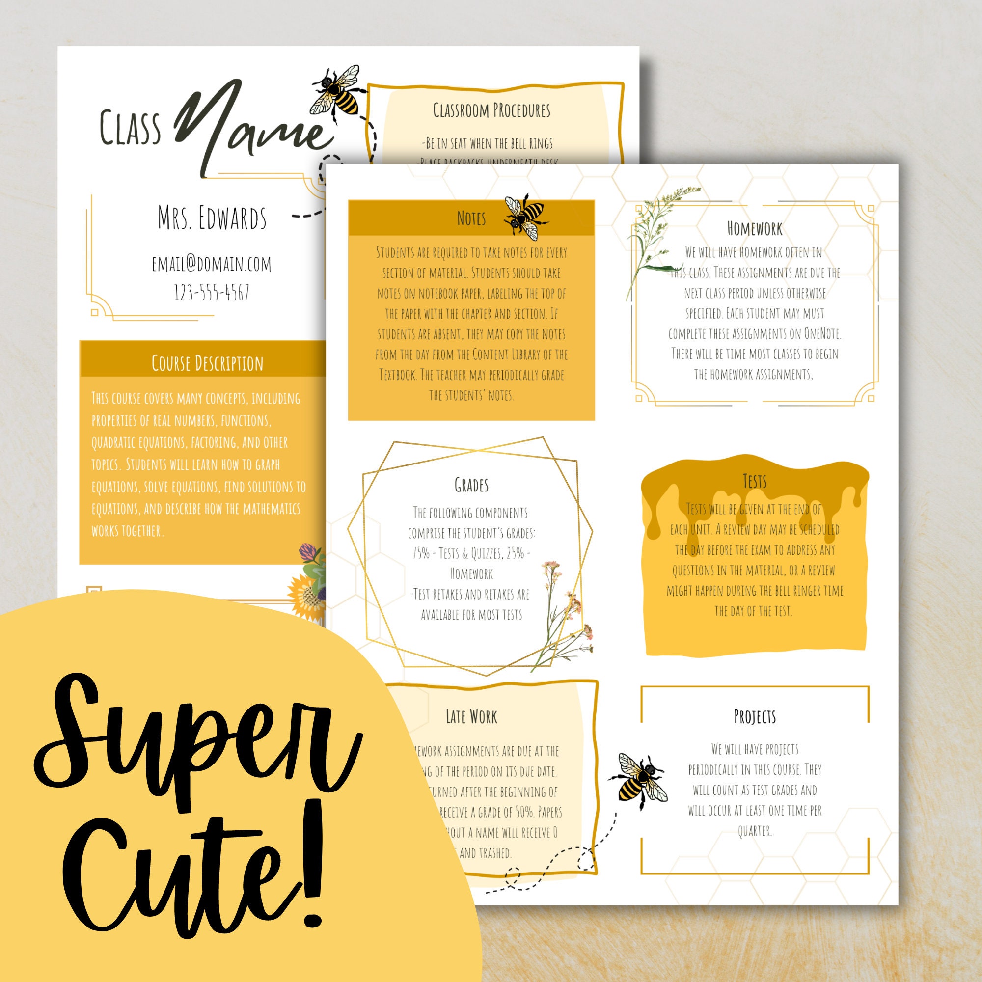 Editable Classroom Syllabus | Middle School | High School | Classroom ...