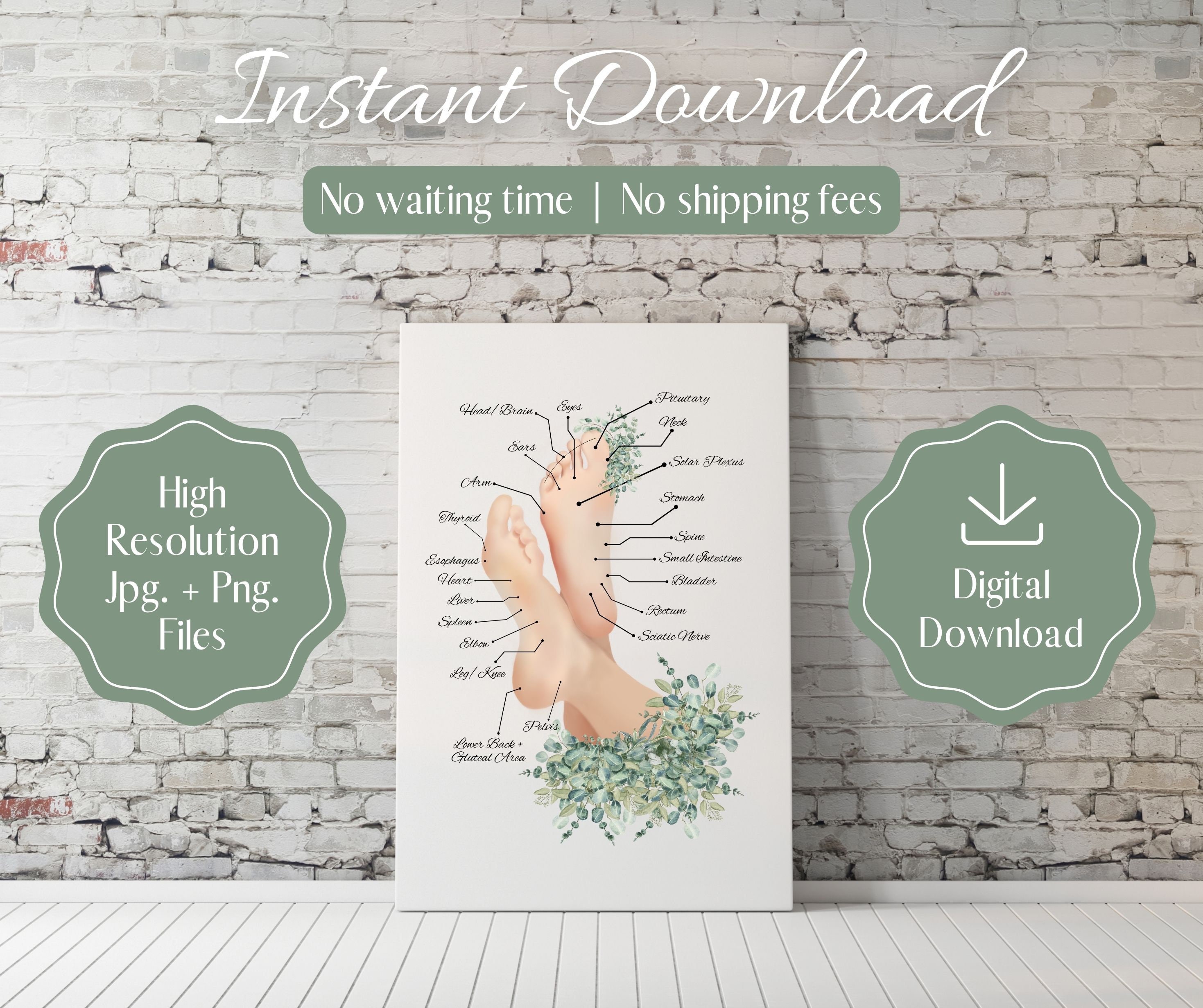 Reflexology Chart, Foot Reflexology, Reflexologist Gift, Reflexology ...