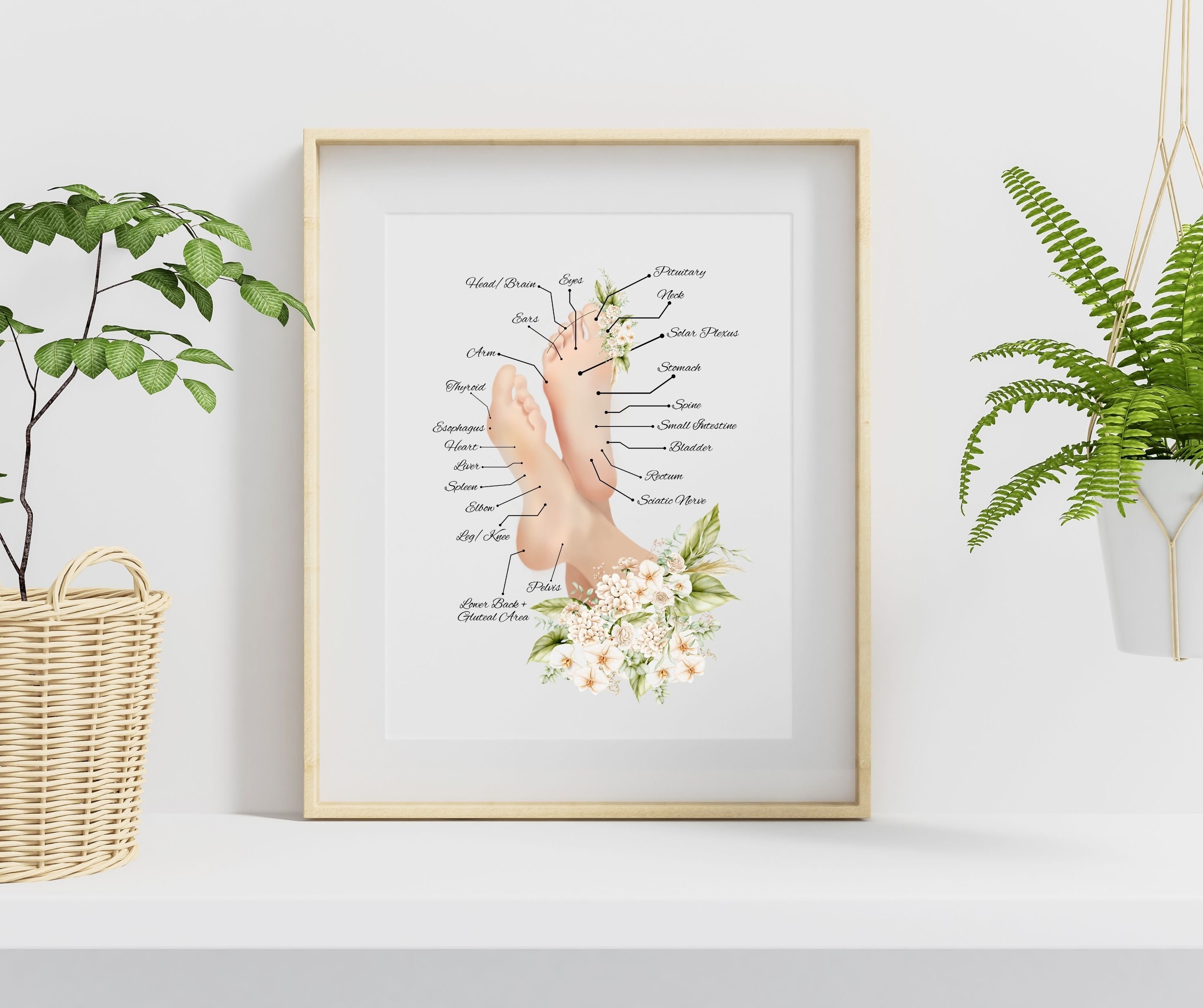 Reflexology Chart, Foot Reflexology, Reflexologist Gift, Reflexology ...