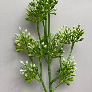 White/green Berry Spray Bunch - Etsy UK