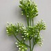 White/green Berry Spray Bunch - Etsy UK