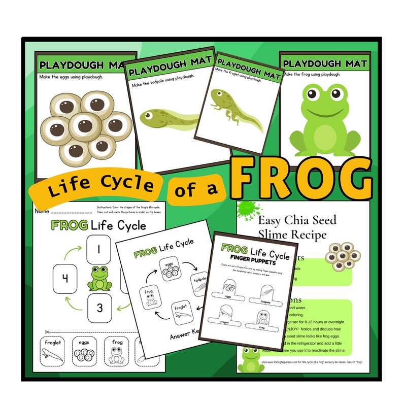 Life Cycle of a Frog. Easy Frog Craft, Finger Puppets, Fine Motor ...
