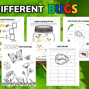 Bug Theme Education Activities. Kindergarten Worksheets With Different ...
