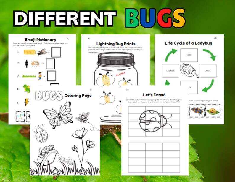 Bug Theme Education Activities. Kindergarten Worksheets With Different ...