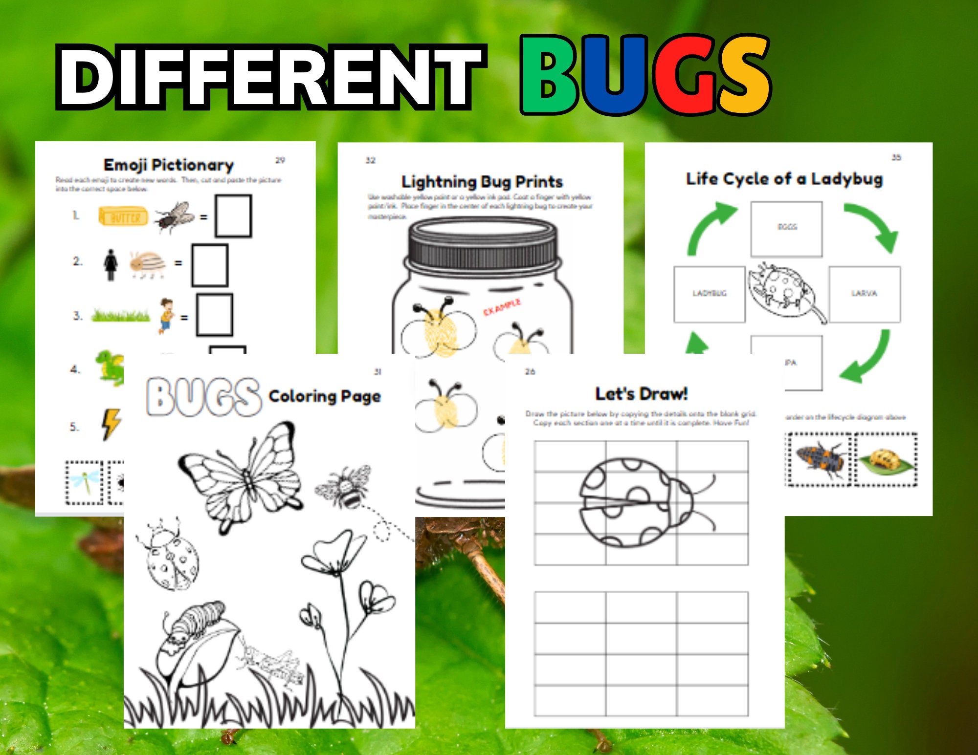 Bug Theme Education Activities. Kindergarten Worksheets With Different ...