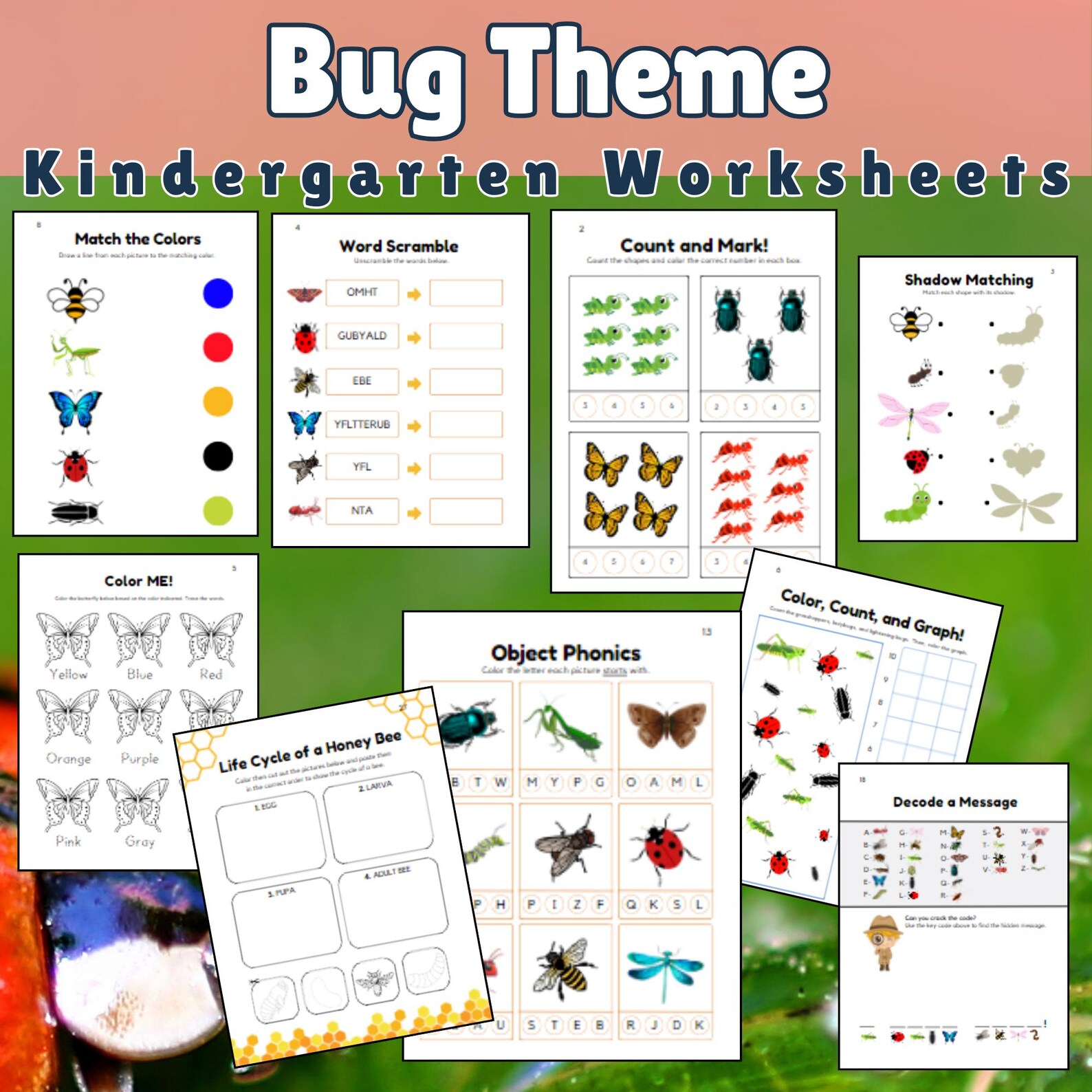Bug Theme Education Activities. Kindergarten Worksheets With Different ...