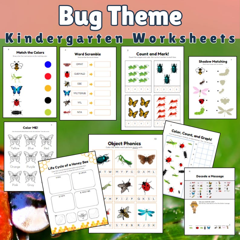Bug Theme Education Activities. Kindergarten Worksheets With Different ...